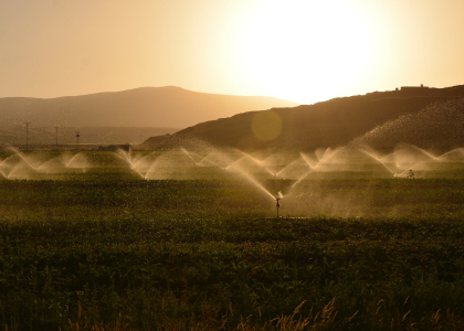 Saudi Arabia Agricultural Overview - Agri