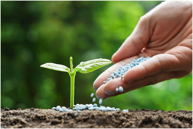 Micronutrients Overview and Supplier| Micronutrient Fertilizer - Agri