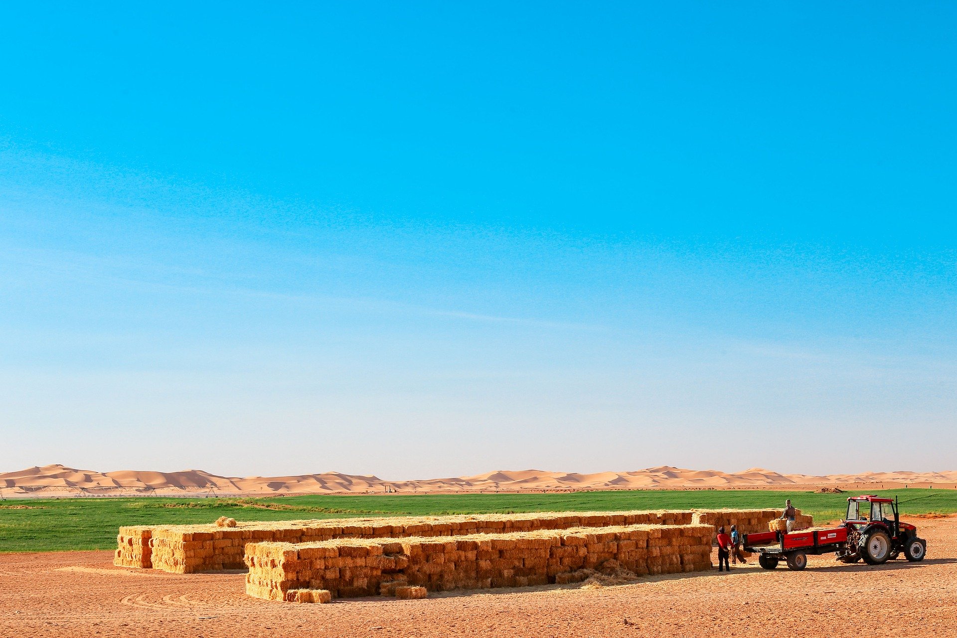 4 Steps To Help You Source A Reliable Agricultural Products Supplier - Agri